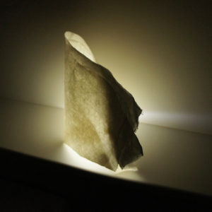 08. Eva-light | Collection | East Japan Project